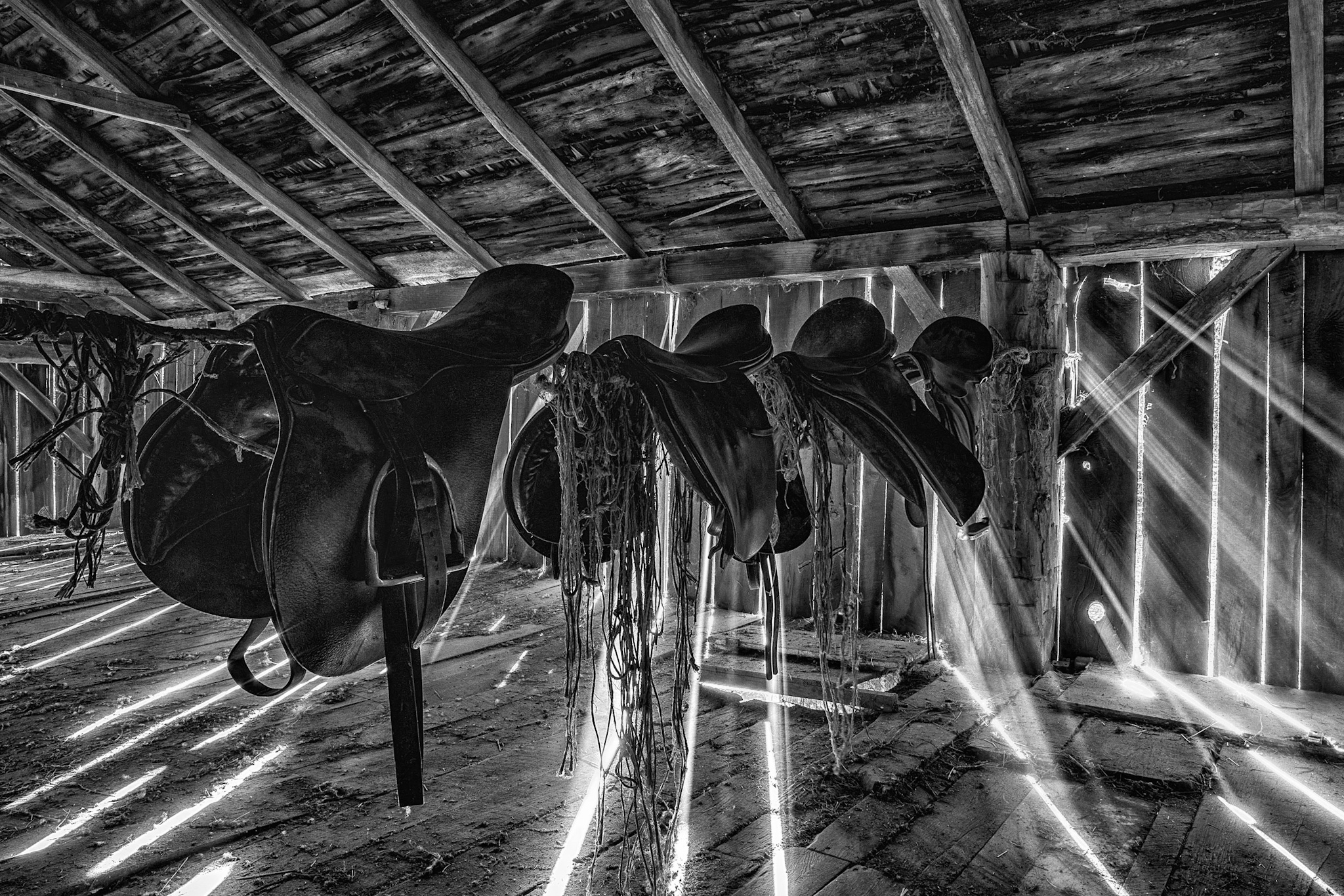 Sky Farm Riding Stables – Horse Boarding, Training and Riding Lessons