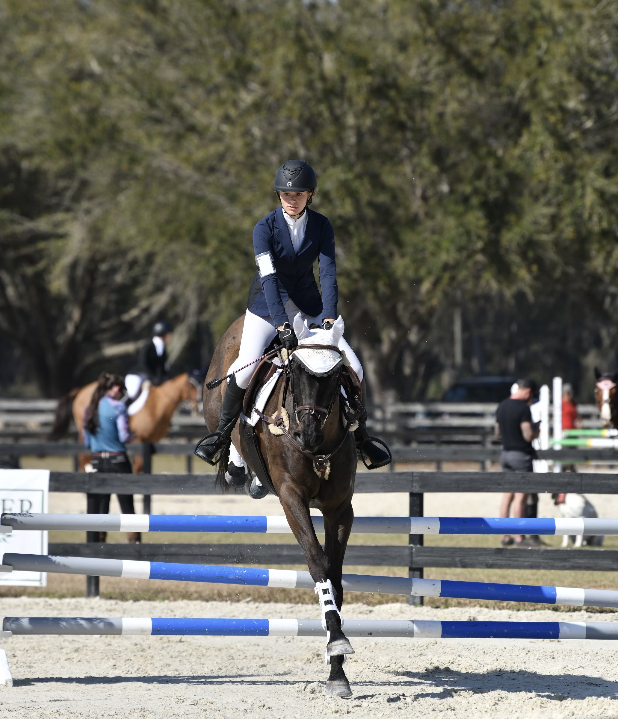 Meet Logan – Sky Farm Riding Stables