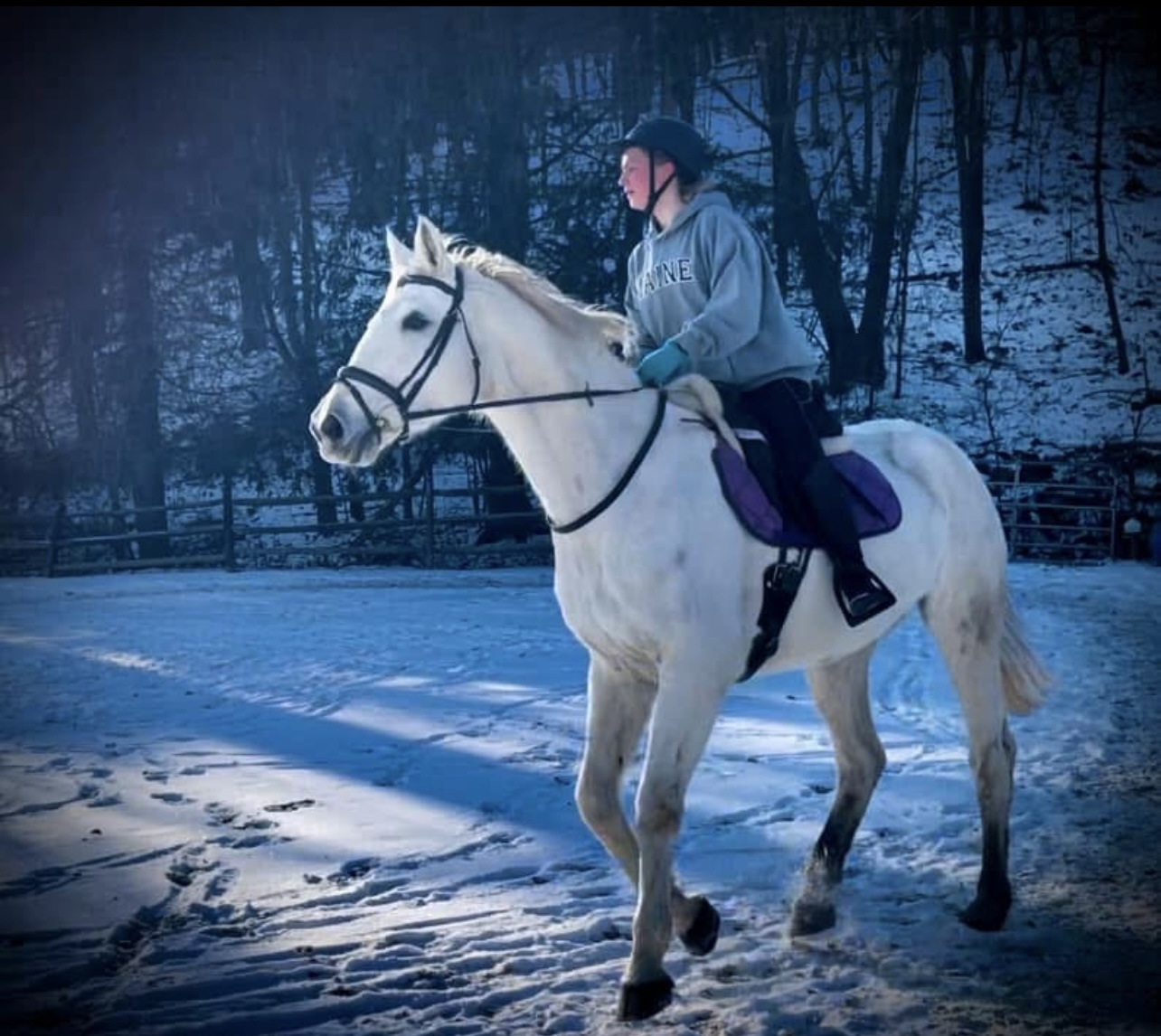 Horse Leases – Sky Farm Riding Stables